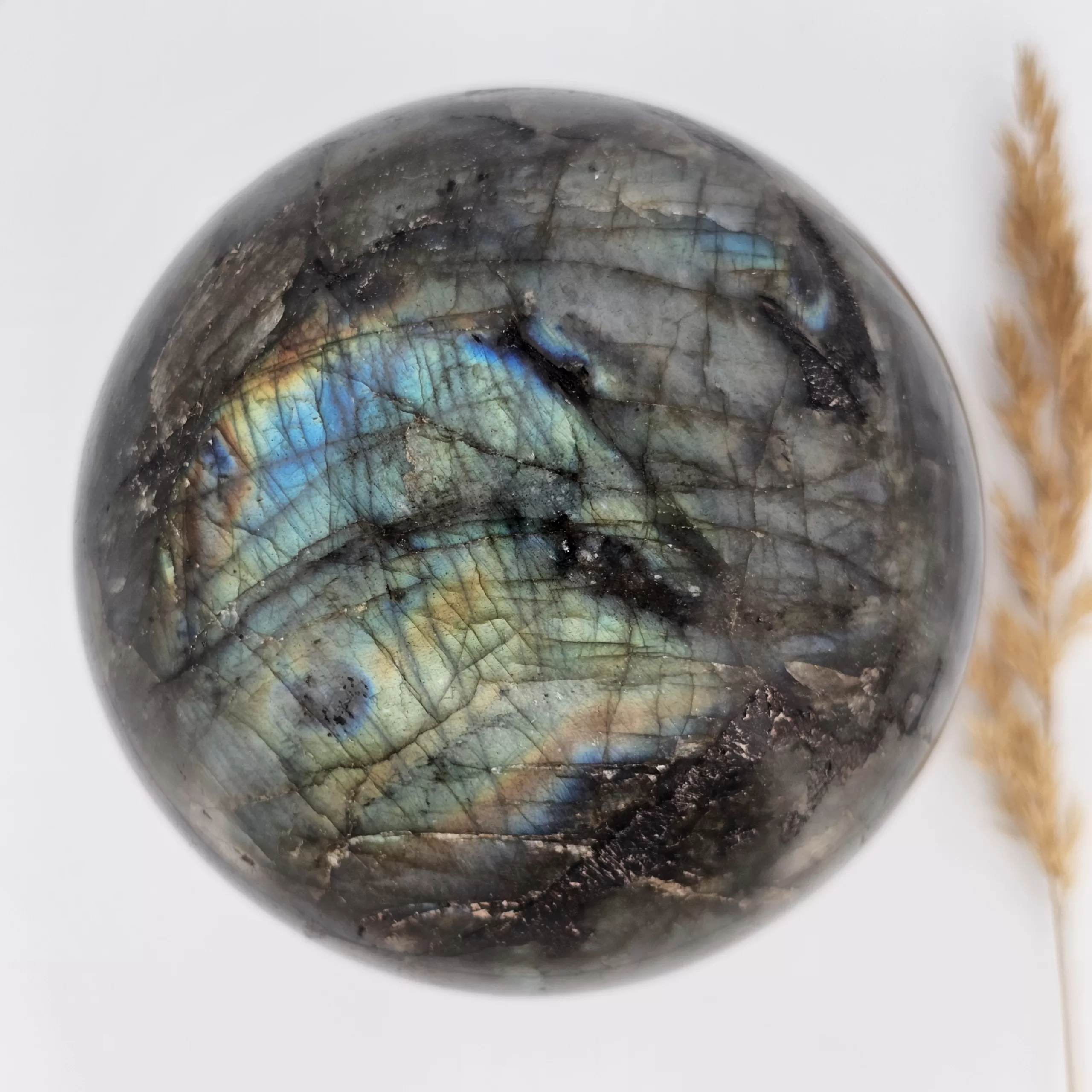 Sphère Labradorite - Juwel's